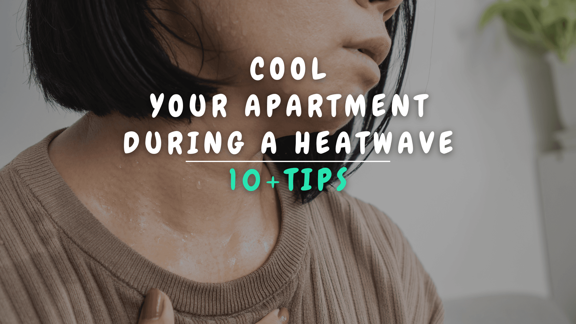 How do I cool my apartment during a heat wave?