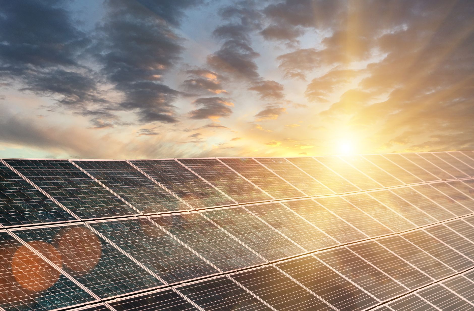 Wat is Biddit en hoe werkt het?